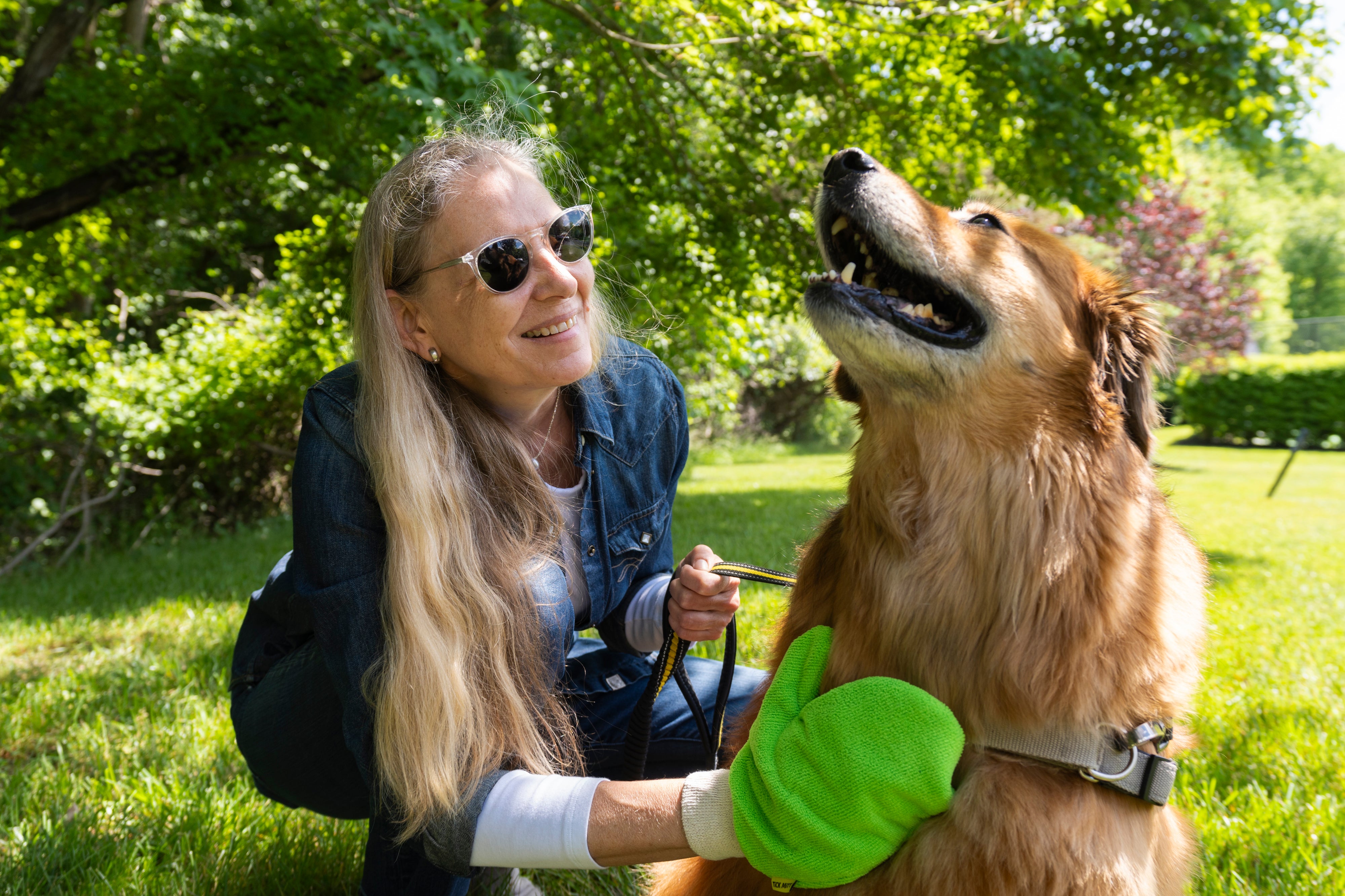 10 Ways to Keep Ticks Out of Your Home - TiCK MiTT