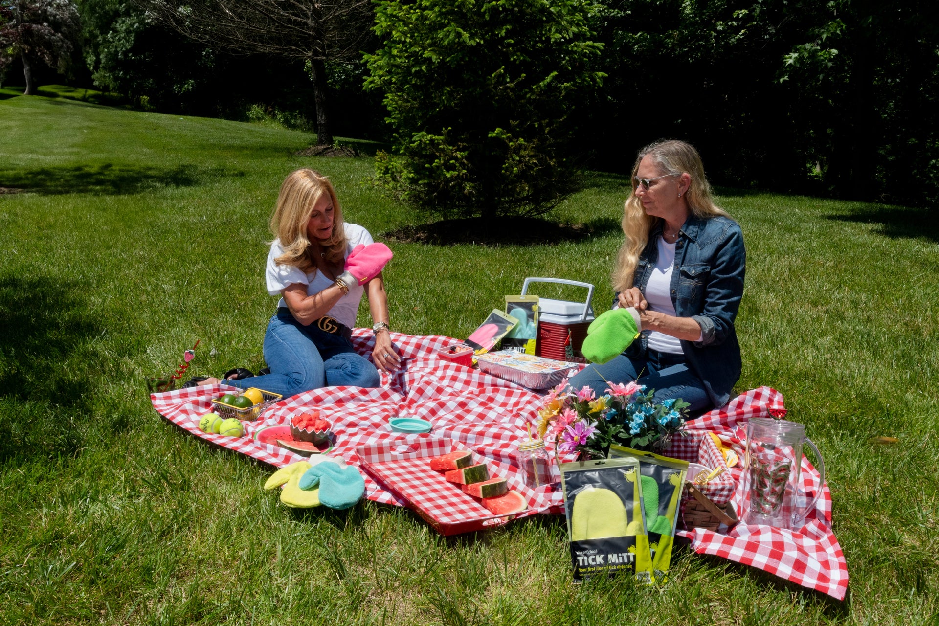 5 Spring Activities to Enjoy With Your Dog — And How to Keep Them Tick ...