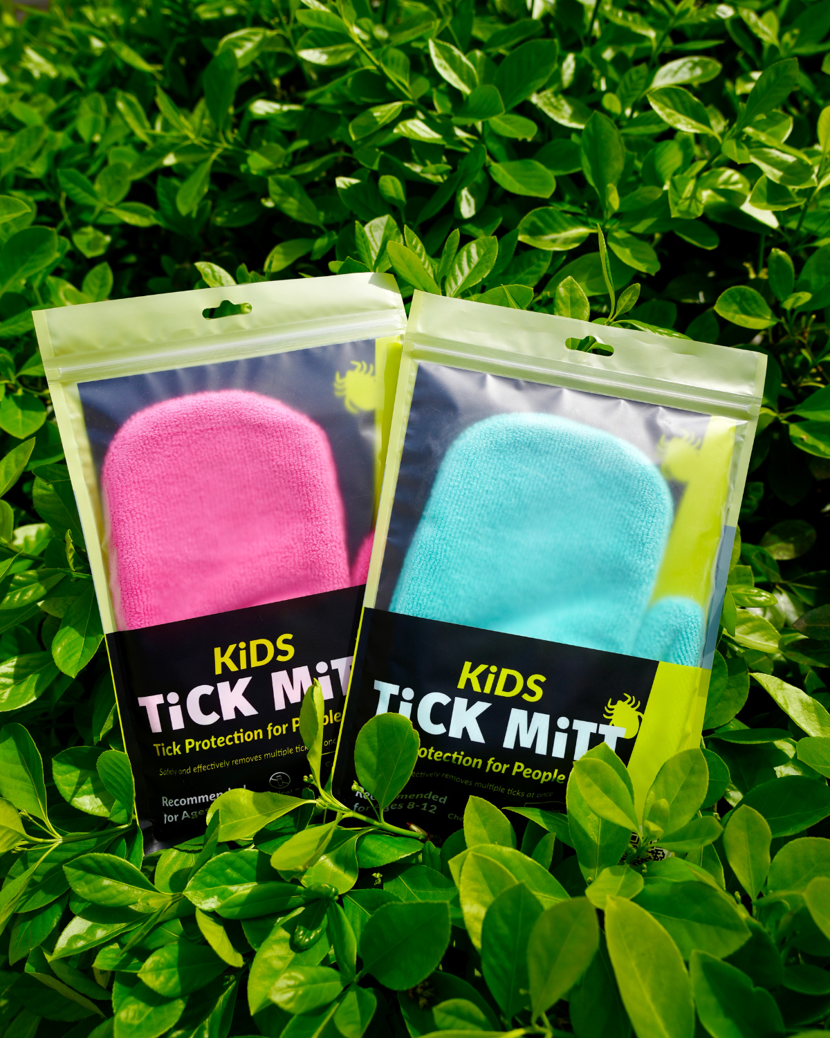 The Ultimate Guide to Tick Safety for Kids - TiCK MiTT