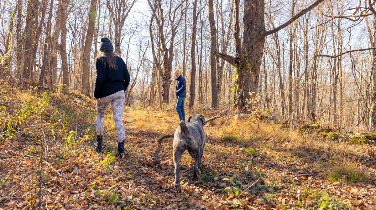 The Hiker’s Companion: Protecting Yourself from Ticks with the TiCK Mi ...