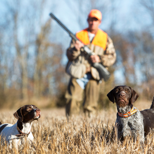 The Pros and Cons of Hunting: Environmental Impact, Conservation, and ...